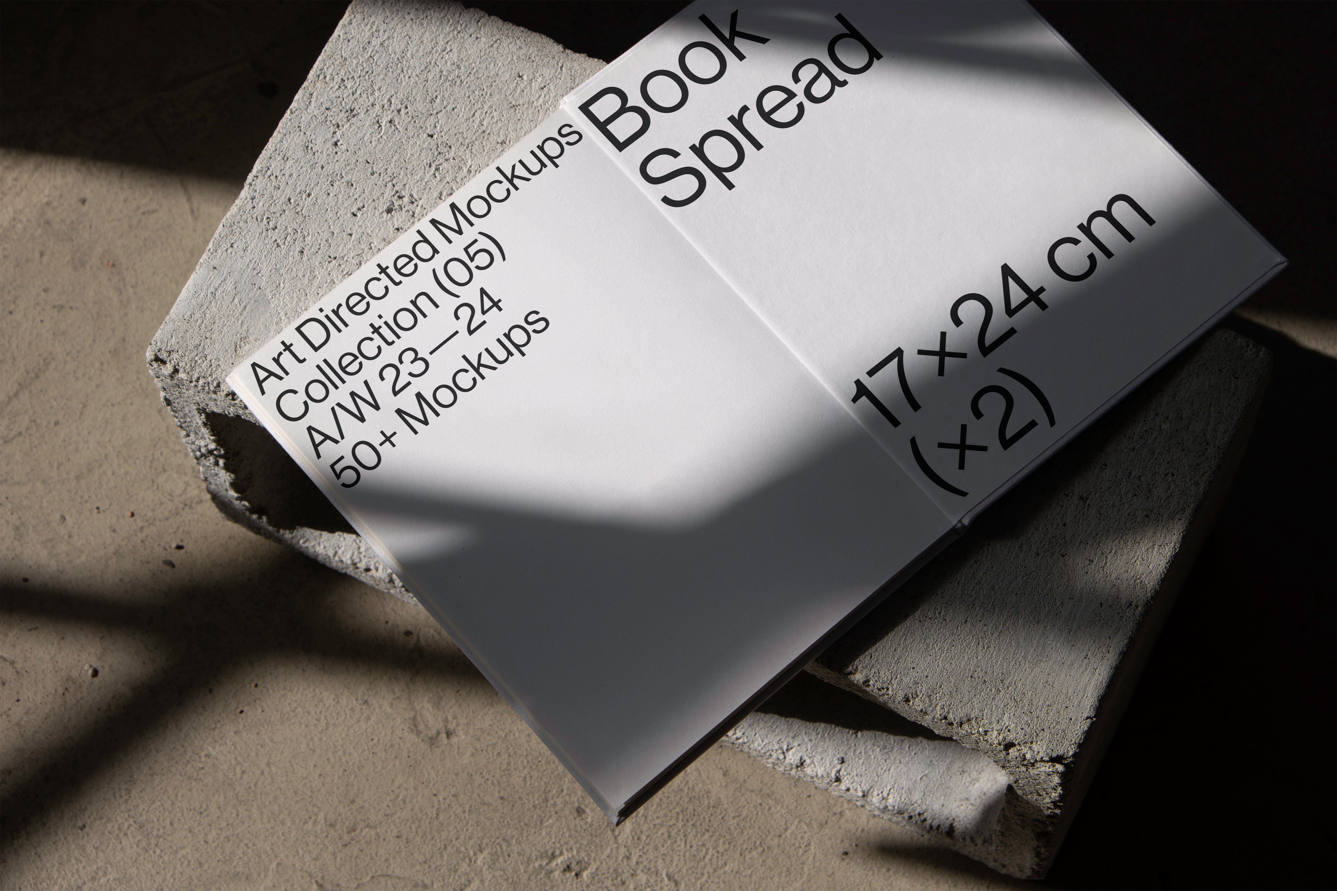 ARTD-C05-Book-014 – Art Directed